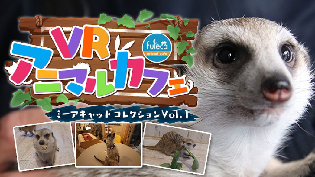 VRアニマルカフェfuleca ミーアキャットコレクション Vol.1｜VRMODE