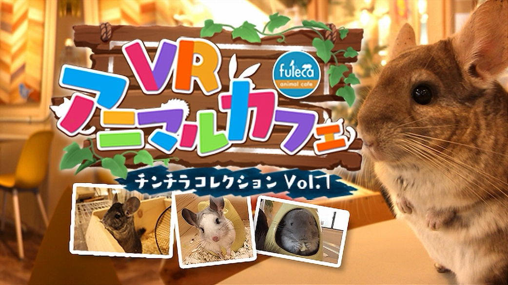 VRアニマルカフェfuleca チンチラコレクション Vol.1｜VRMODE