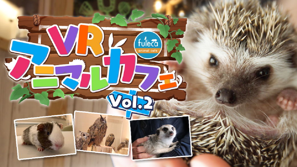 VRアニマルカフェfuleca Vol.2｜VRMODE